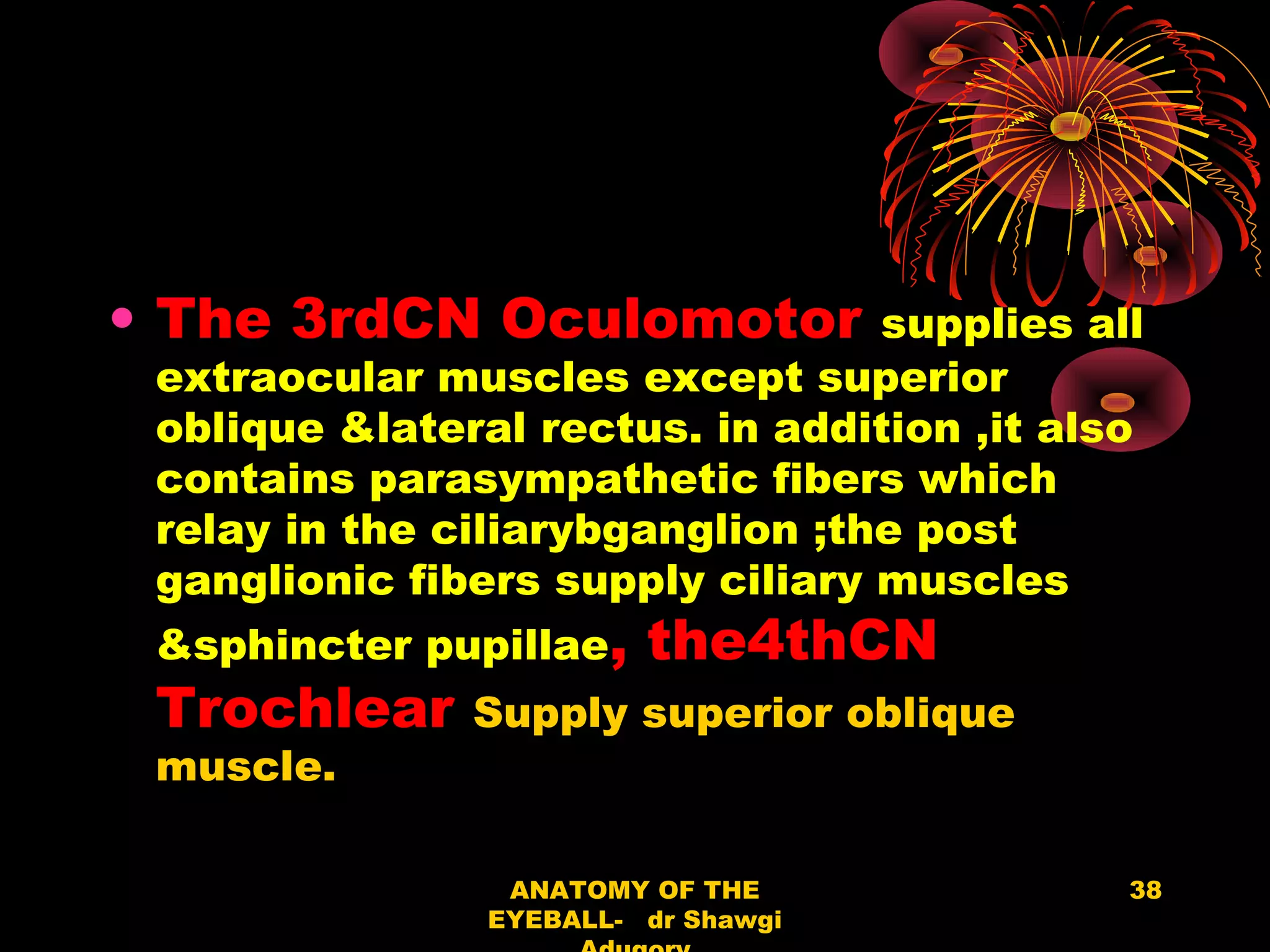 Anatomy of the eyeball - dr Shawgi Adugory | PPT