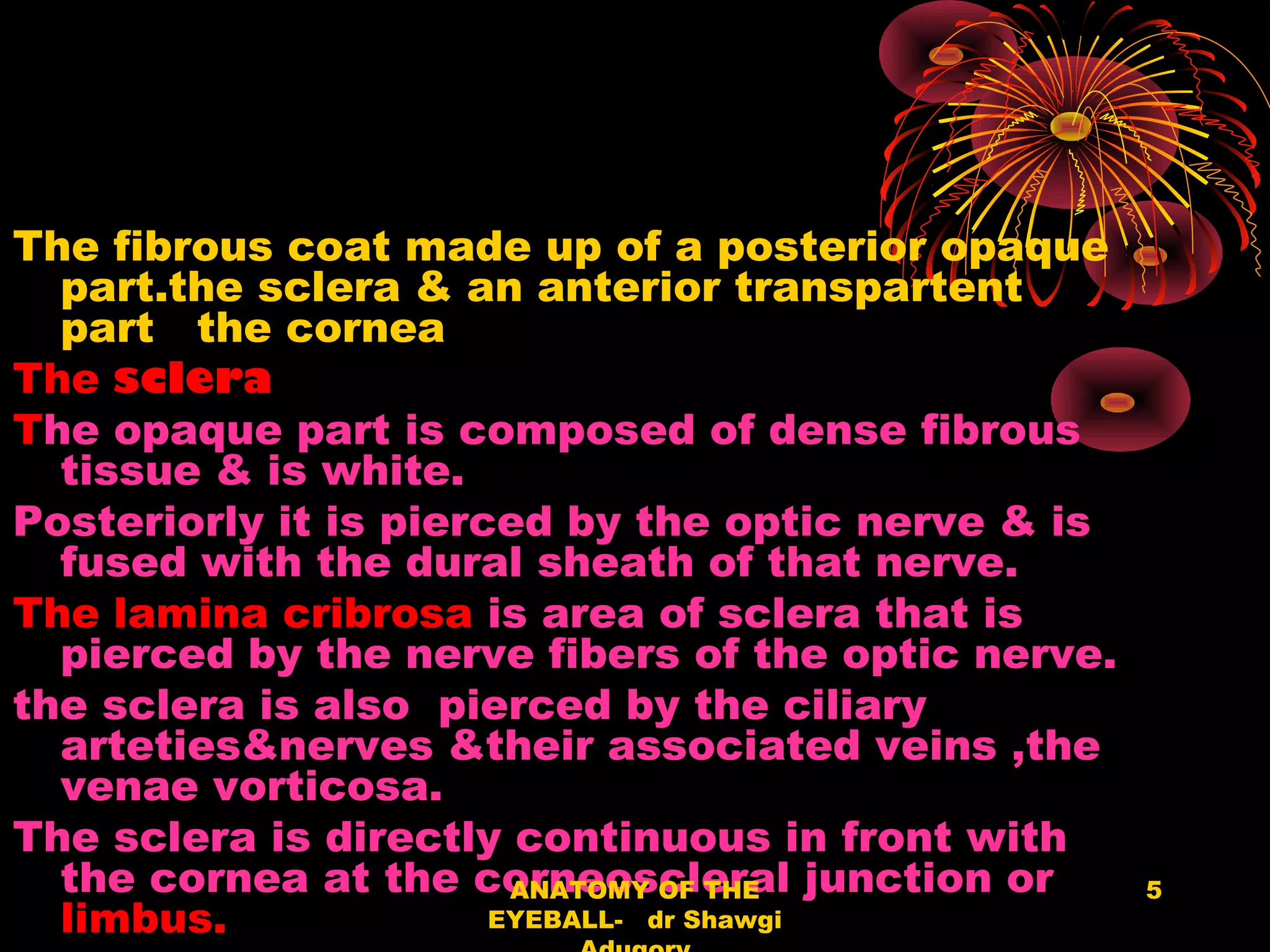 Anatomy of the eyeball - dr Shawgi Adugory | PPT