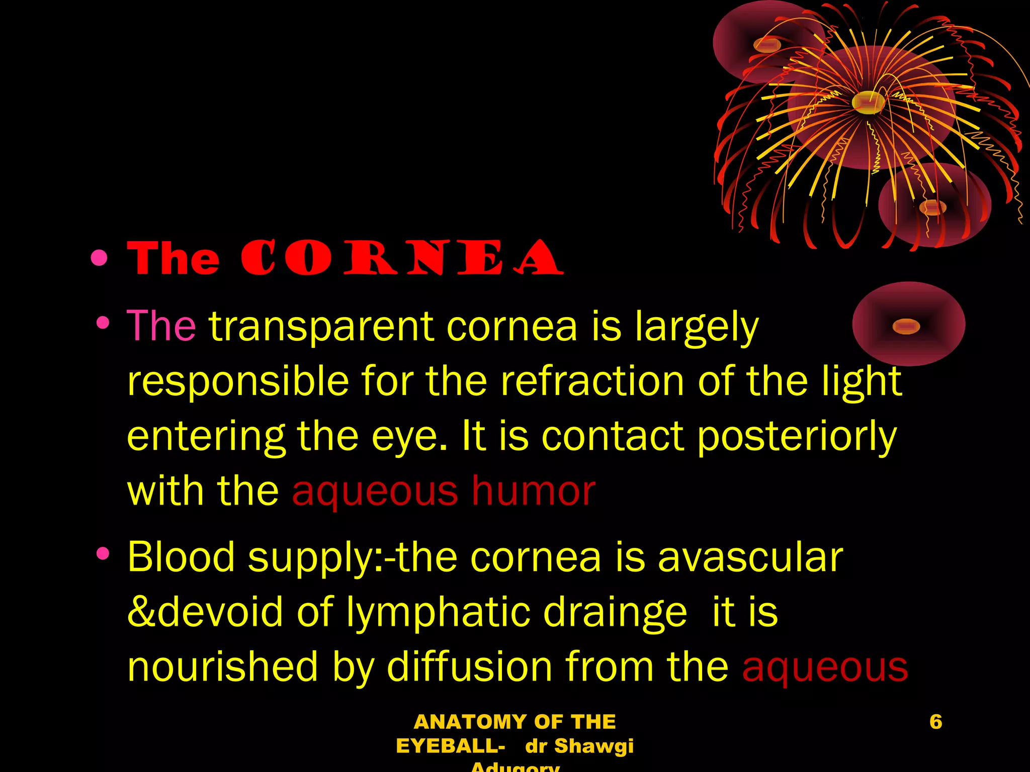 Anatomy of the eyeball - dr Shawgi Adugory | PPT