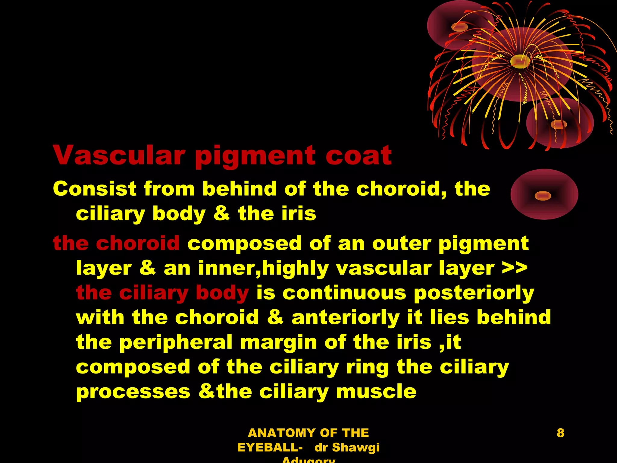 Anatomy of the eyeball - dr Shawgi Adugory | PPT