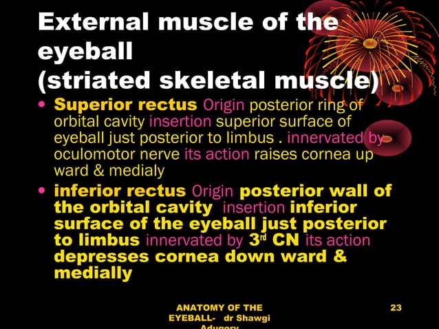 Anatomy of the eyeball - dr Shawgi Adugory | PPT