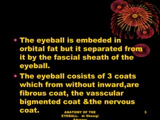 Anatomy of the eyeball - dr Shawgi Adugory | PPT