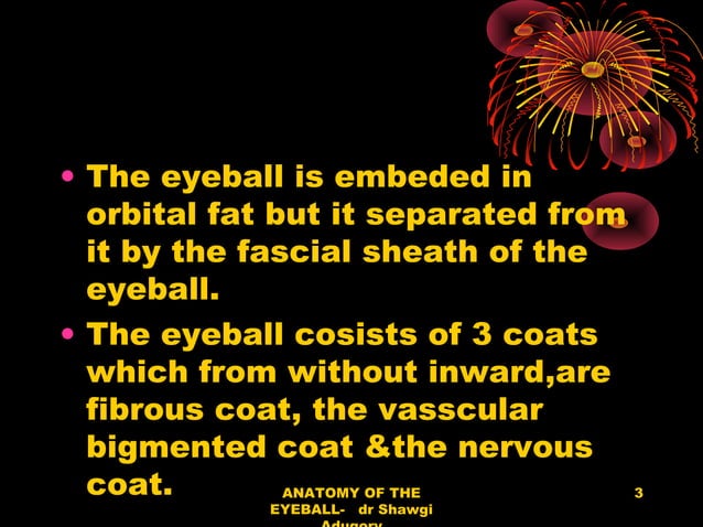 Anatomy of the eyeball - dr Shawgi Adugory | PPT