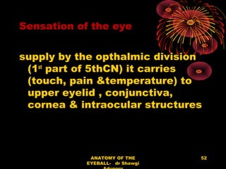 Anatomy of the eyeball - dr Shawgi Adugory | PPT | Eye and Vision ...