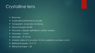 Anatomy of the eyeball An overviews.pptx