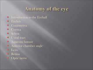 Anatomy of the eye for studentss | PPT