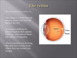 Anatomy of the eye for studentss | PPT