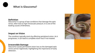 Anatomy of the Eye & Glaucoma Training.pptx