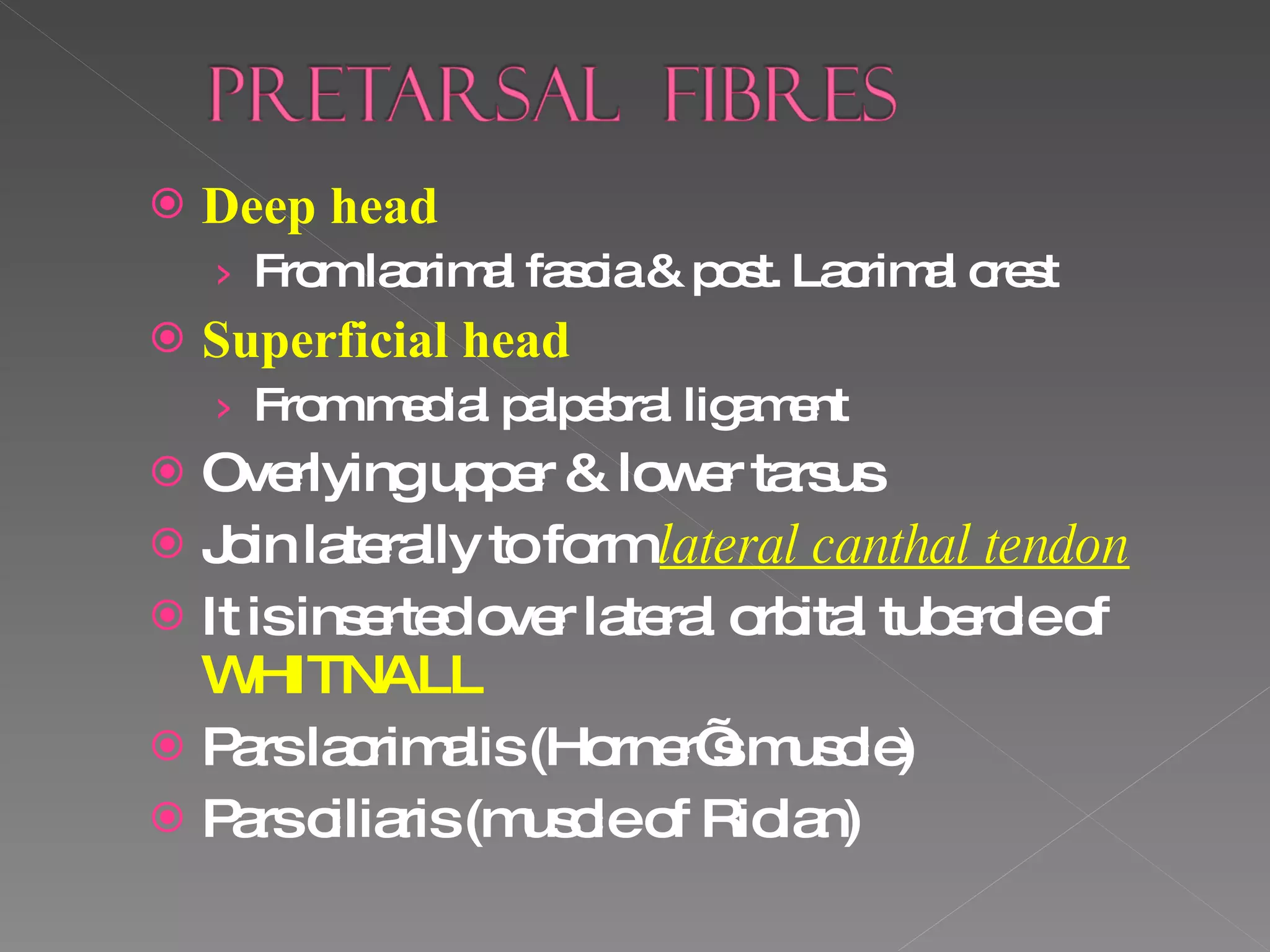 Anatomy Of The Eyelids | PPT
