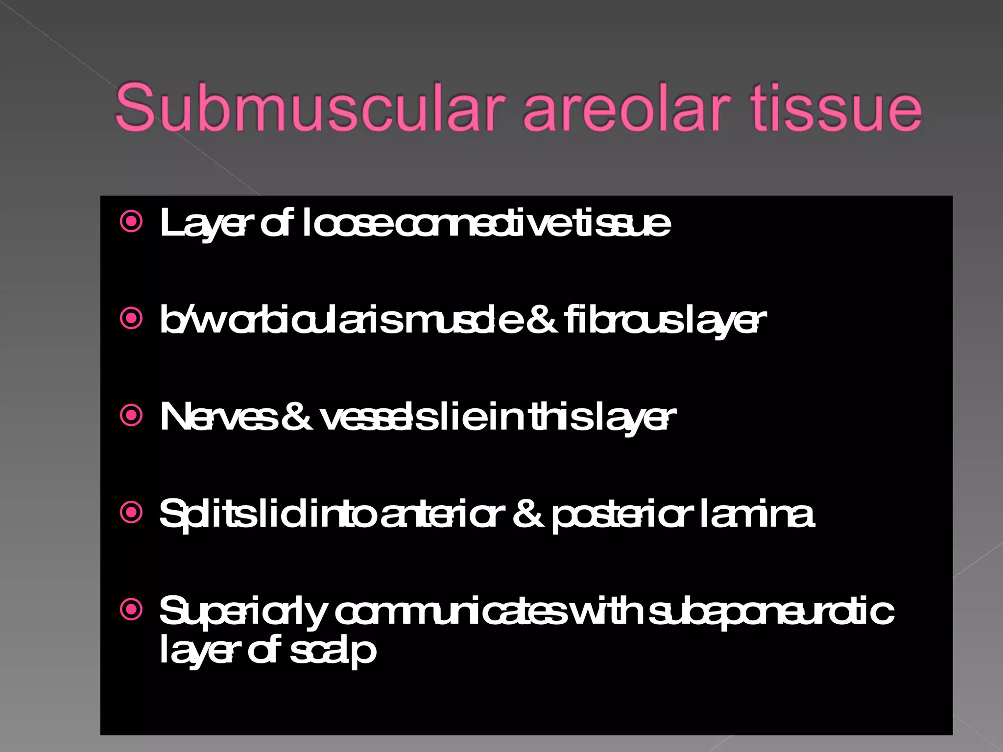Anatomy Of The Eyelids | PPT