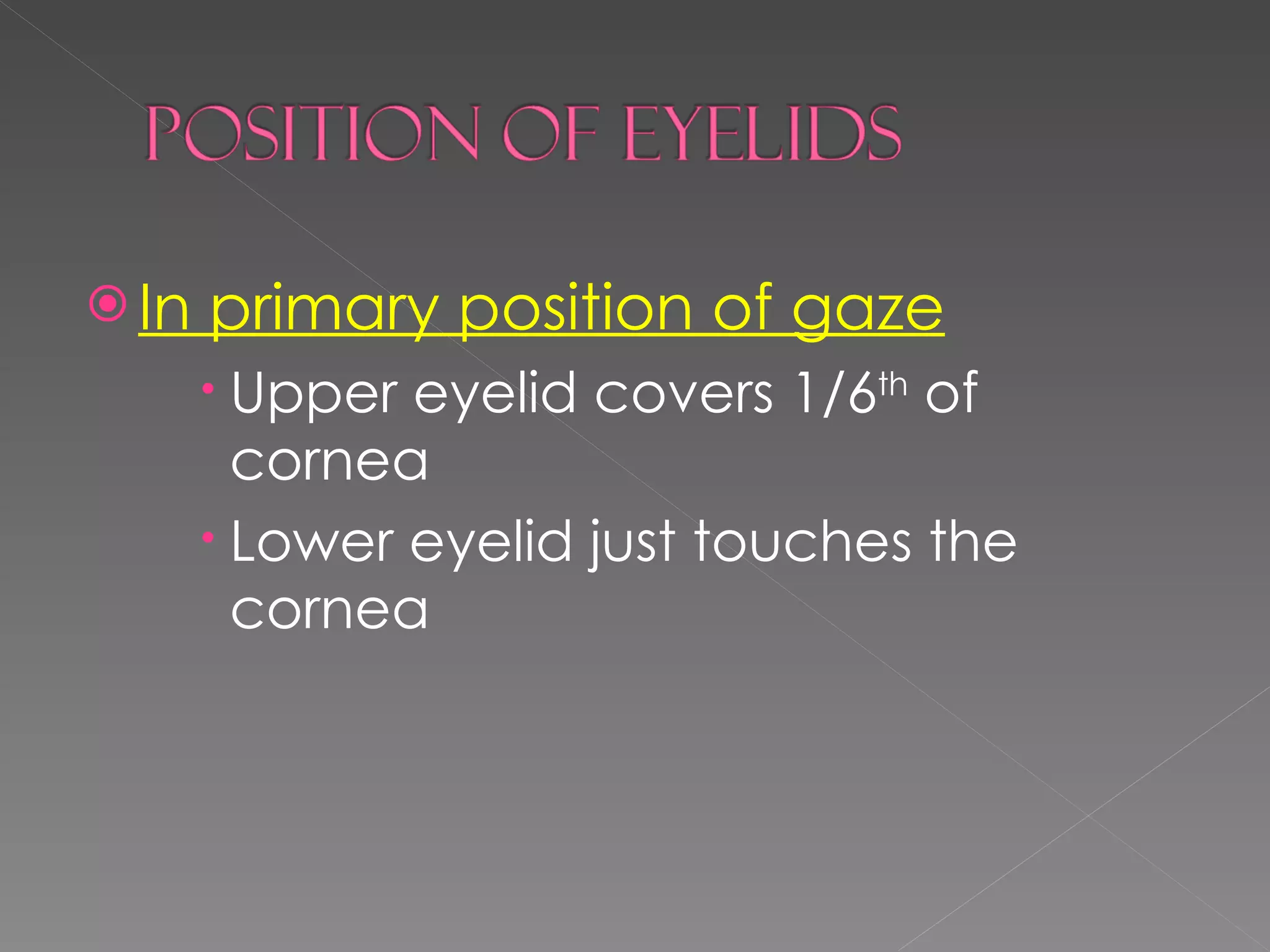 Anatomy Of The Eyelids | PPT