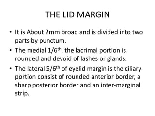 Anatomy of the eyelids | PPTX