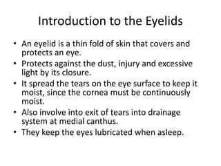 Anatomy of the eyelids | PPTX