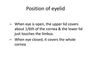 Anatomy of the eyelids | PPTX