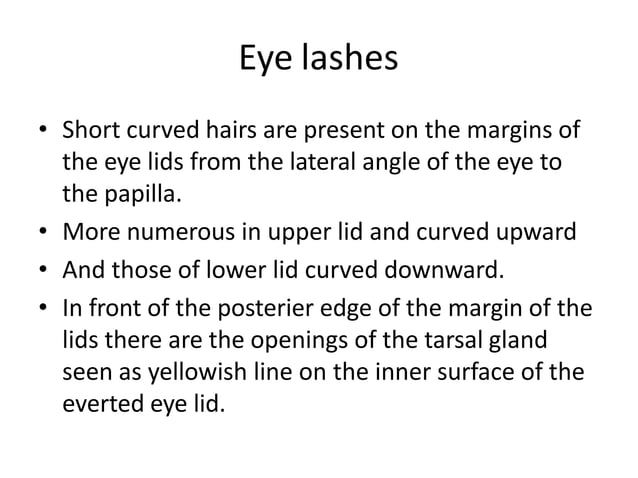 anatomyoftheeyelids-140429224039-phpapp02 (1).pptx