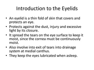anatomyoftheeyelids-140429224039-phpapp02 (1).pptx