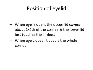 anatomyoftheeyelids-140429224039-phpapp02 (1).pptx