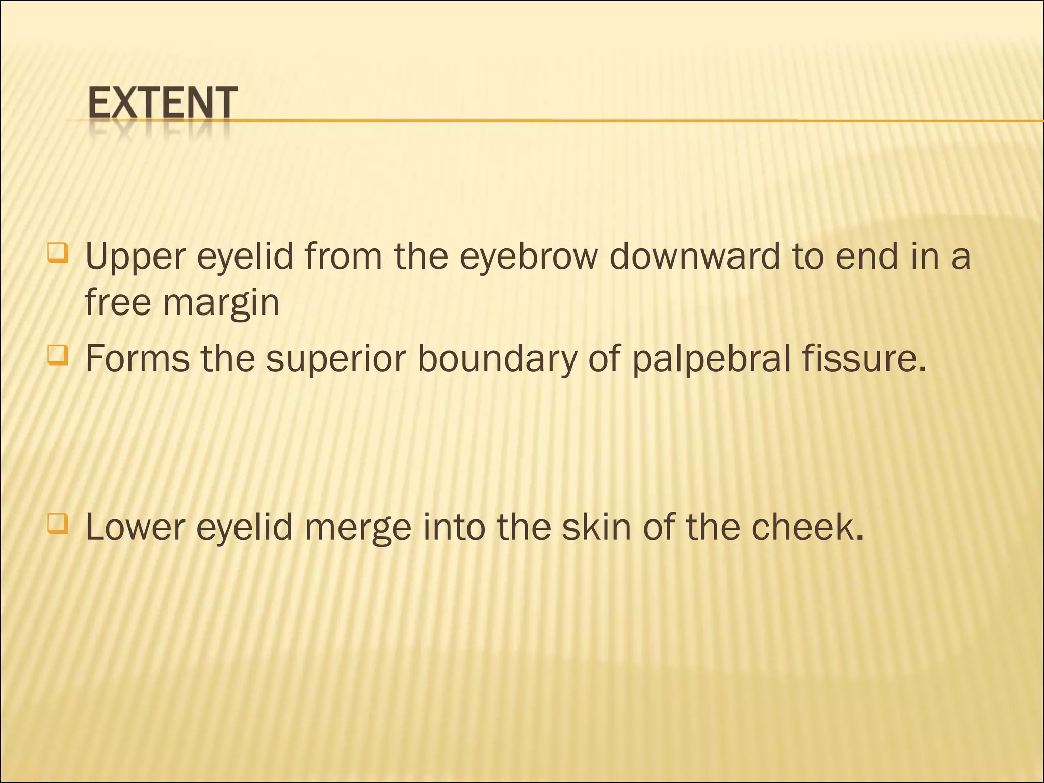 Anatomy of the eyelids | PPT | Eye and Vision Conditions | Diseases and ...