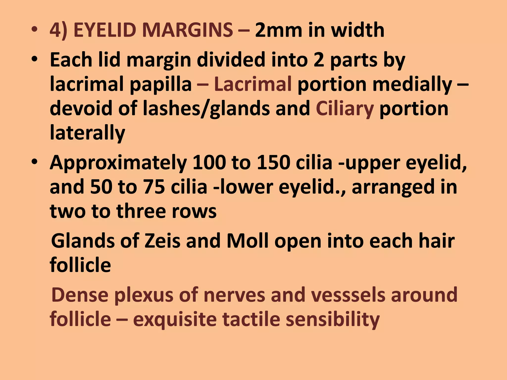 Anatomy of the eyelids | PPTX