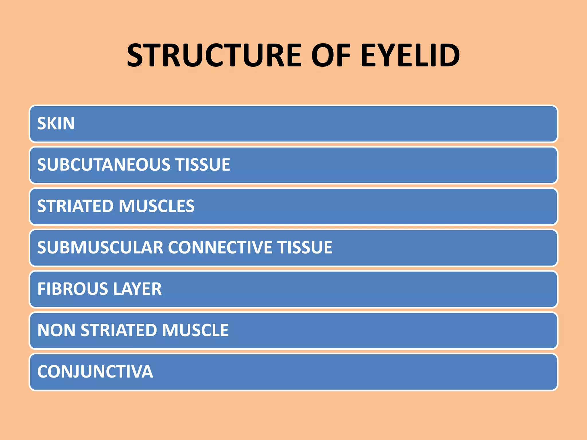 Anatomy of the eyelids | PPTX