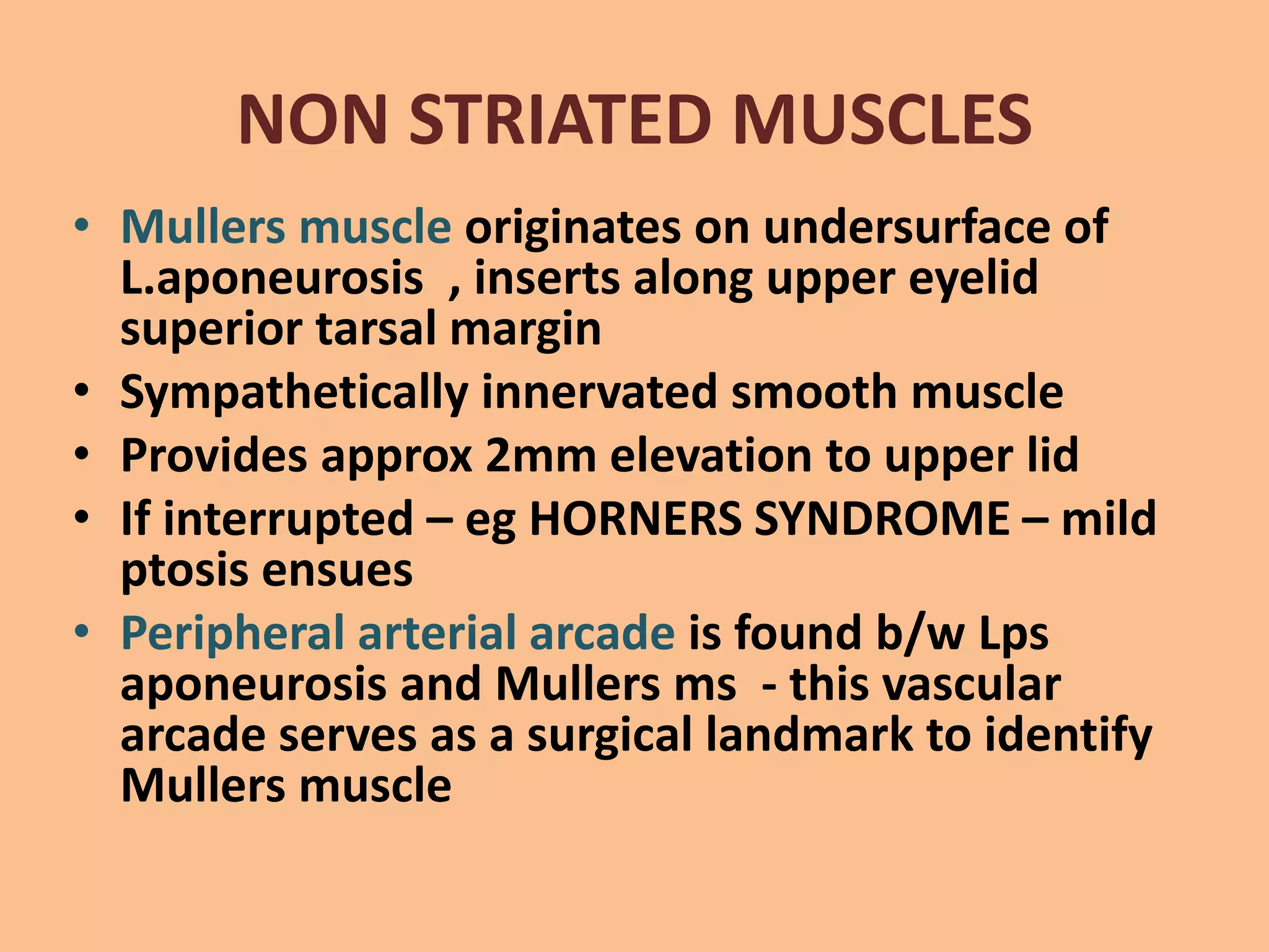 Anatomy of the eyelids | PPTX