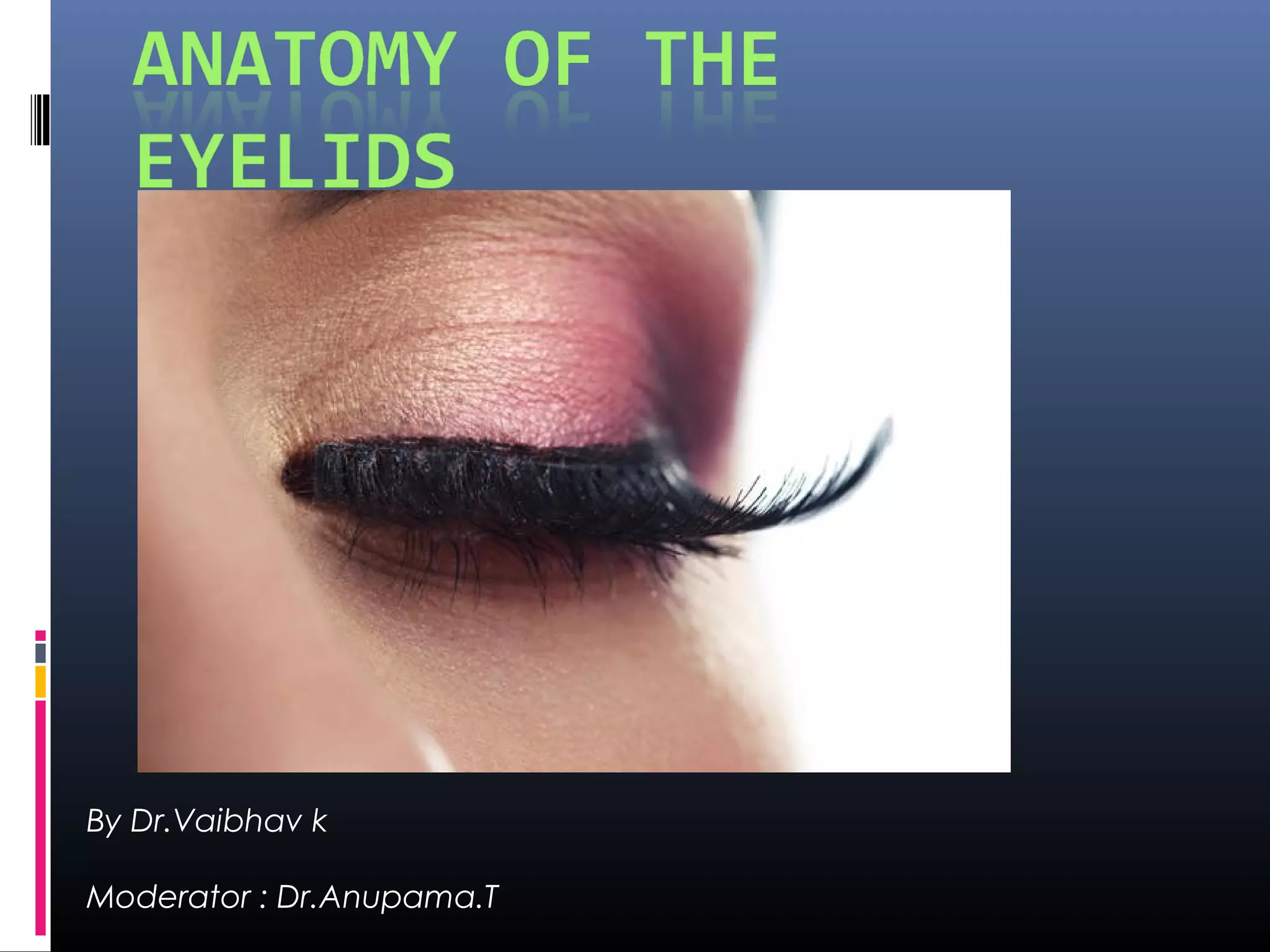 Anatomy of the eyelids | PPT
