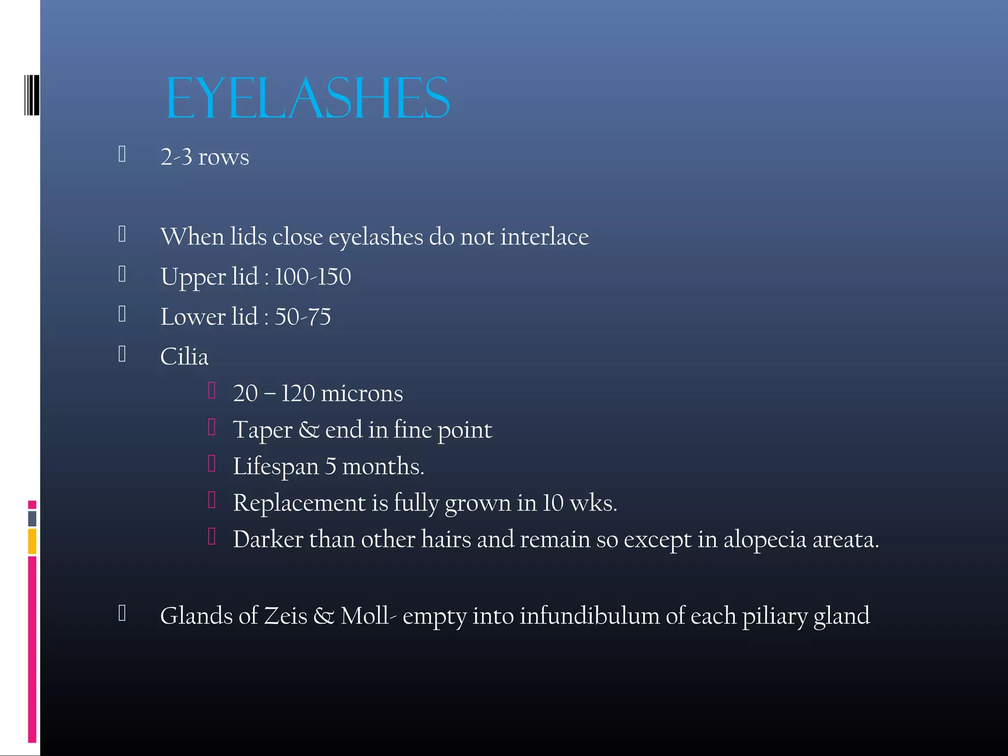 Anatomy of the eyelids | PPT