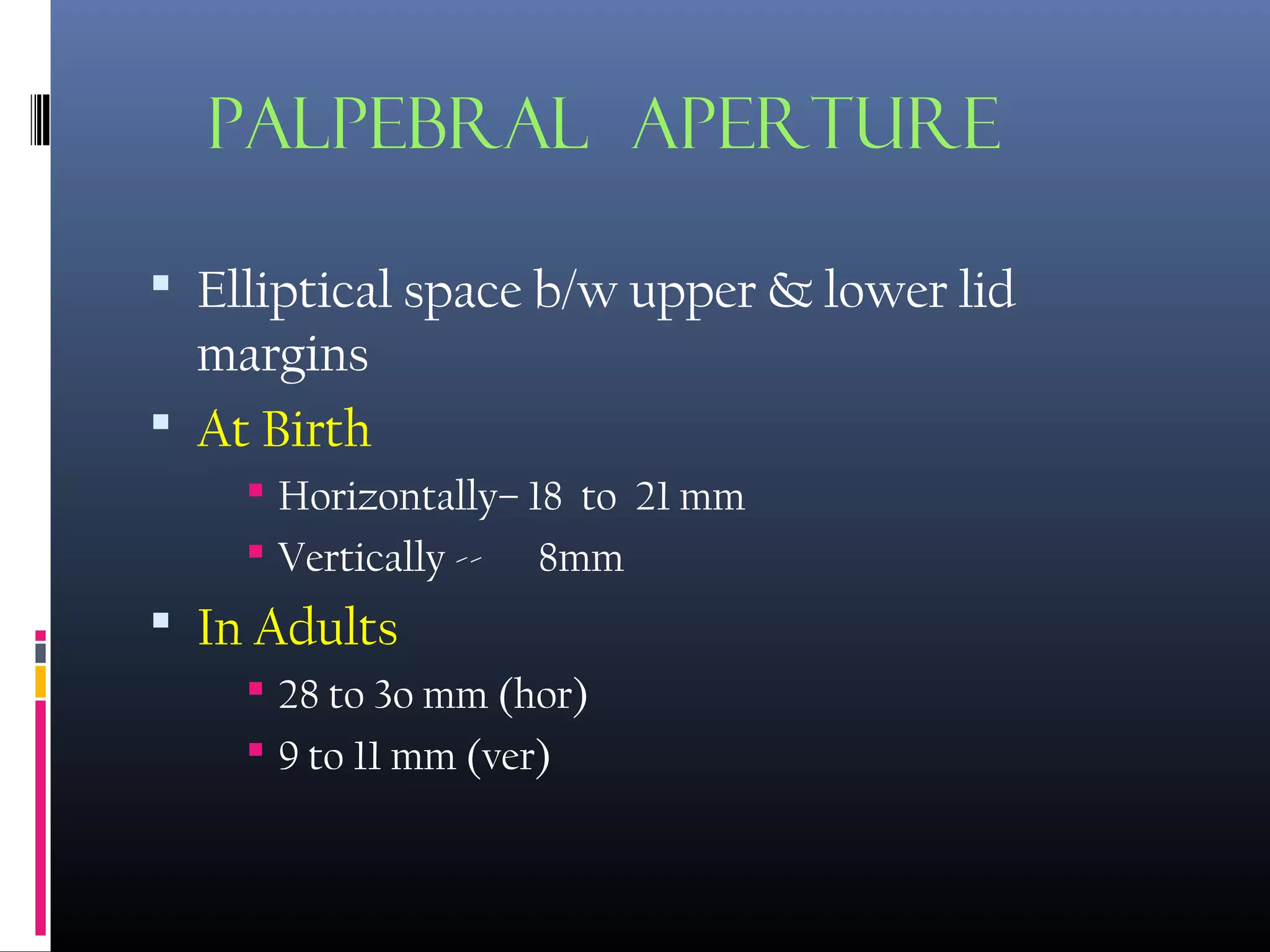 Anatomy of the eyelids | PPT