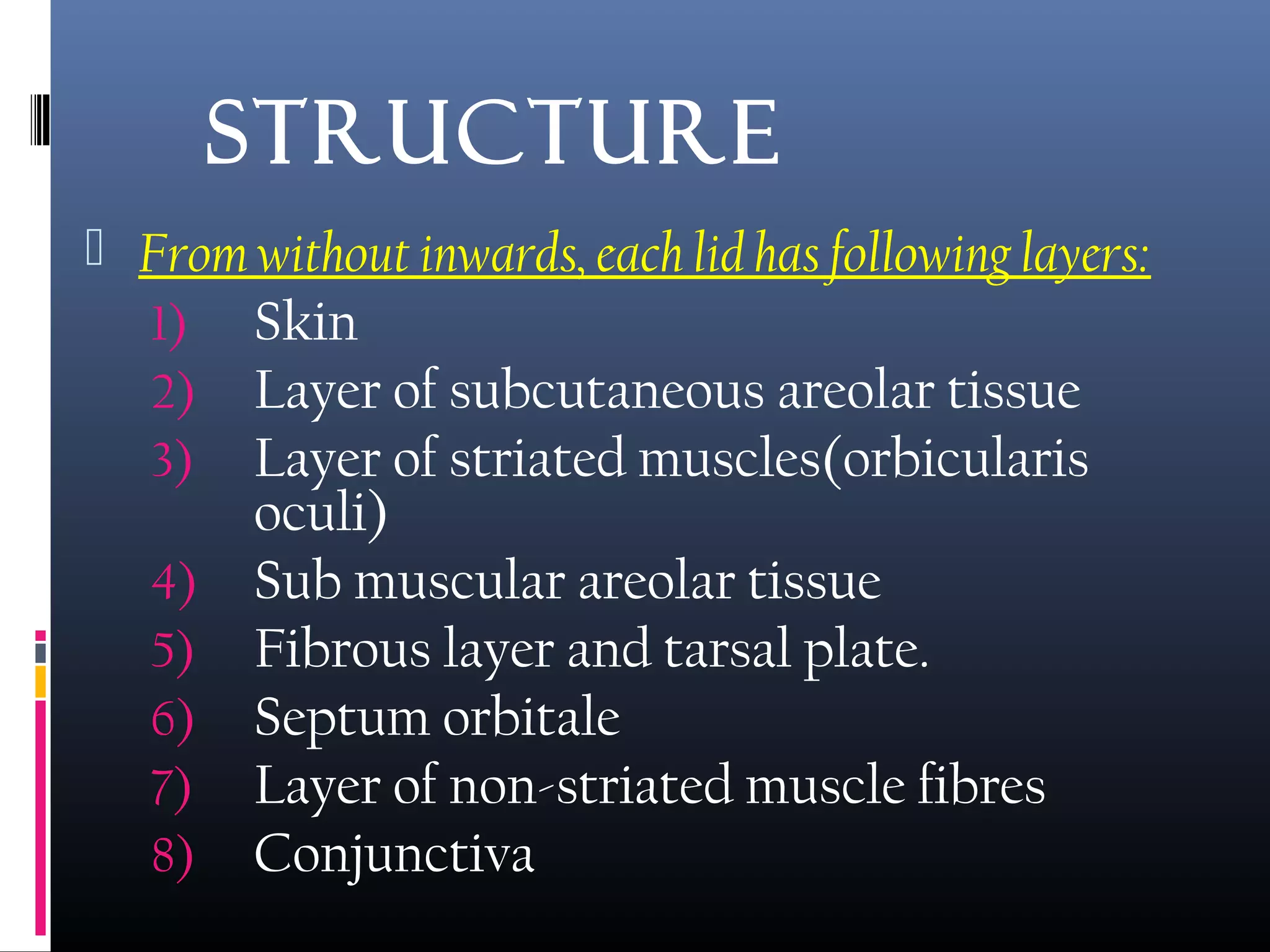 Anatomy of the eyelids | PPT