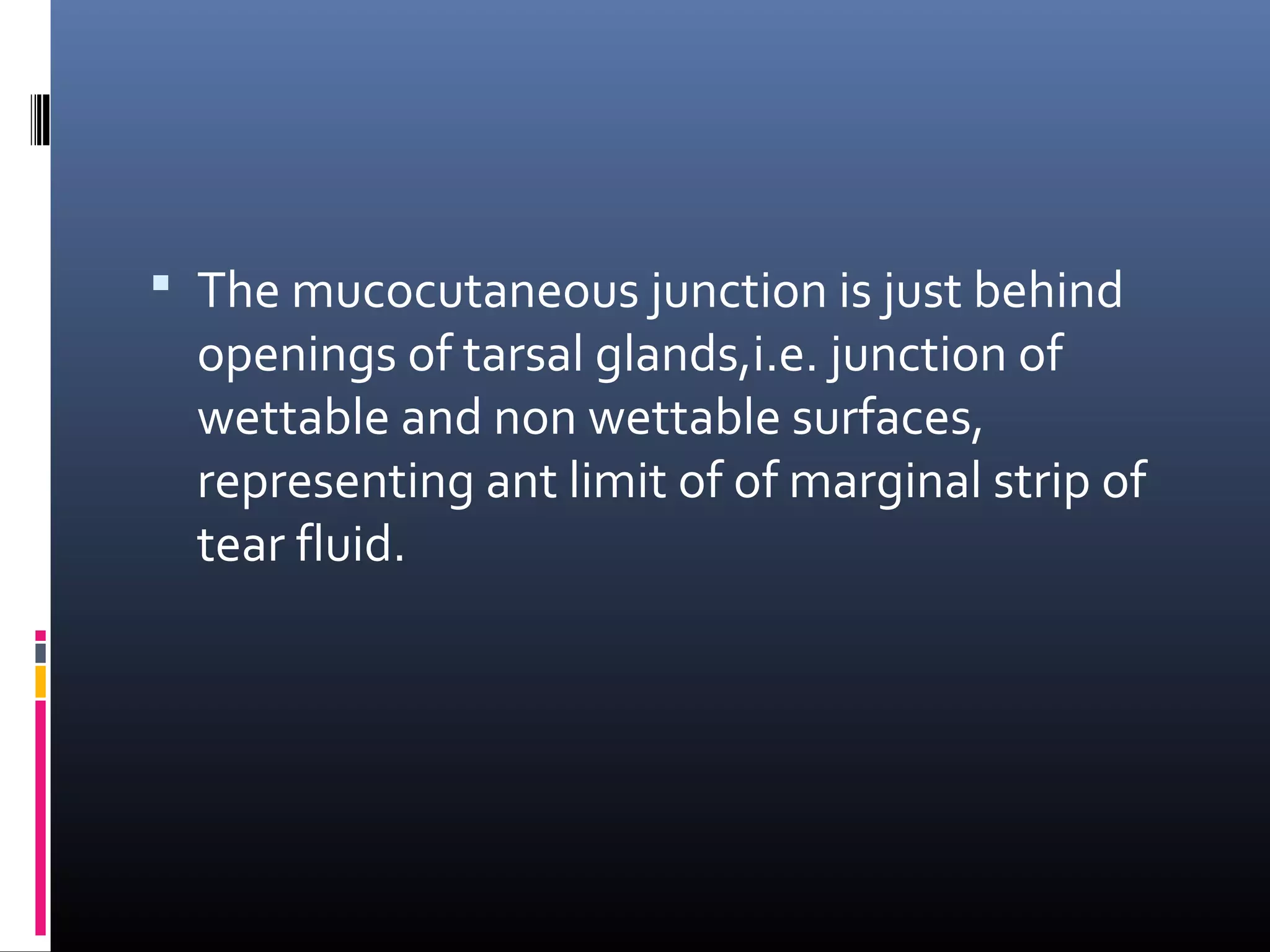 Anatomy of the eyelids | PPT