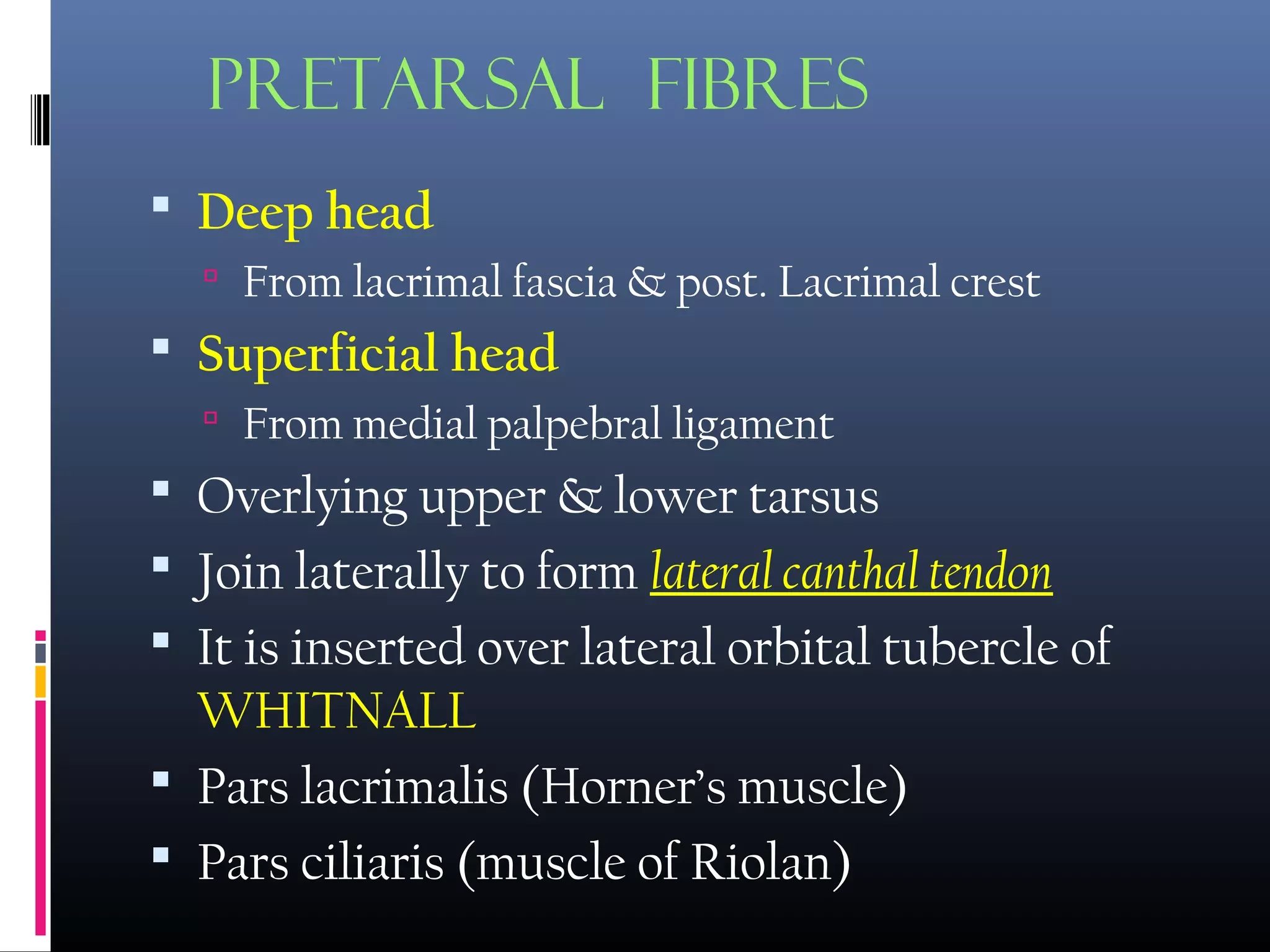 Anatomy of the eyelids | PPT