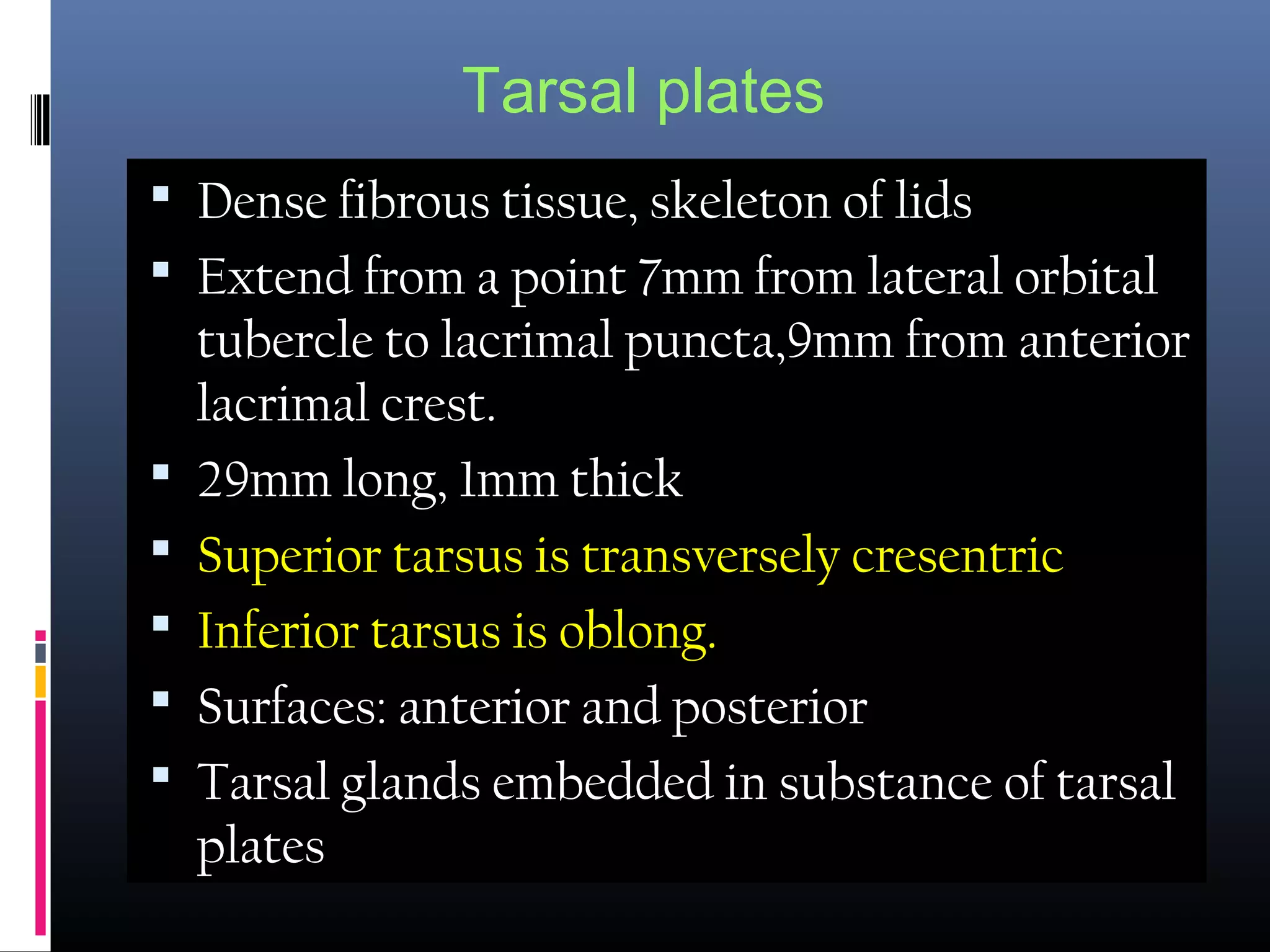 Anatomy of the eyelids | PPT