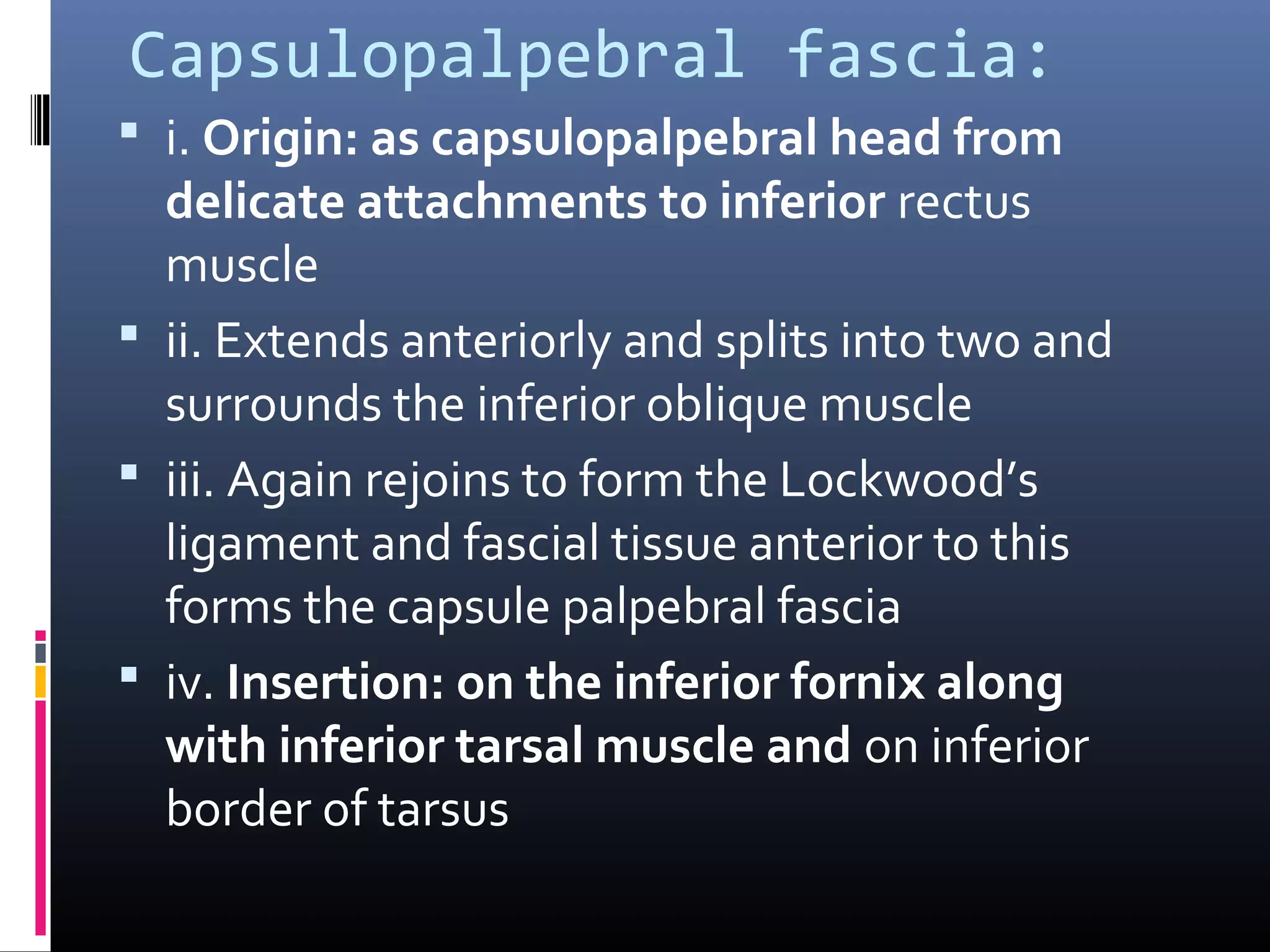 Anatomy of the eyelids | PPT