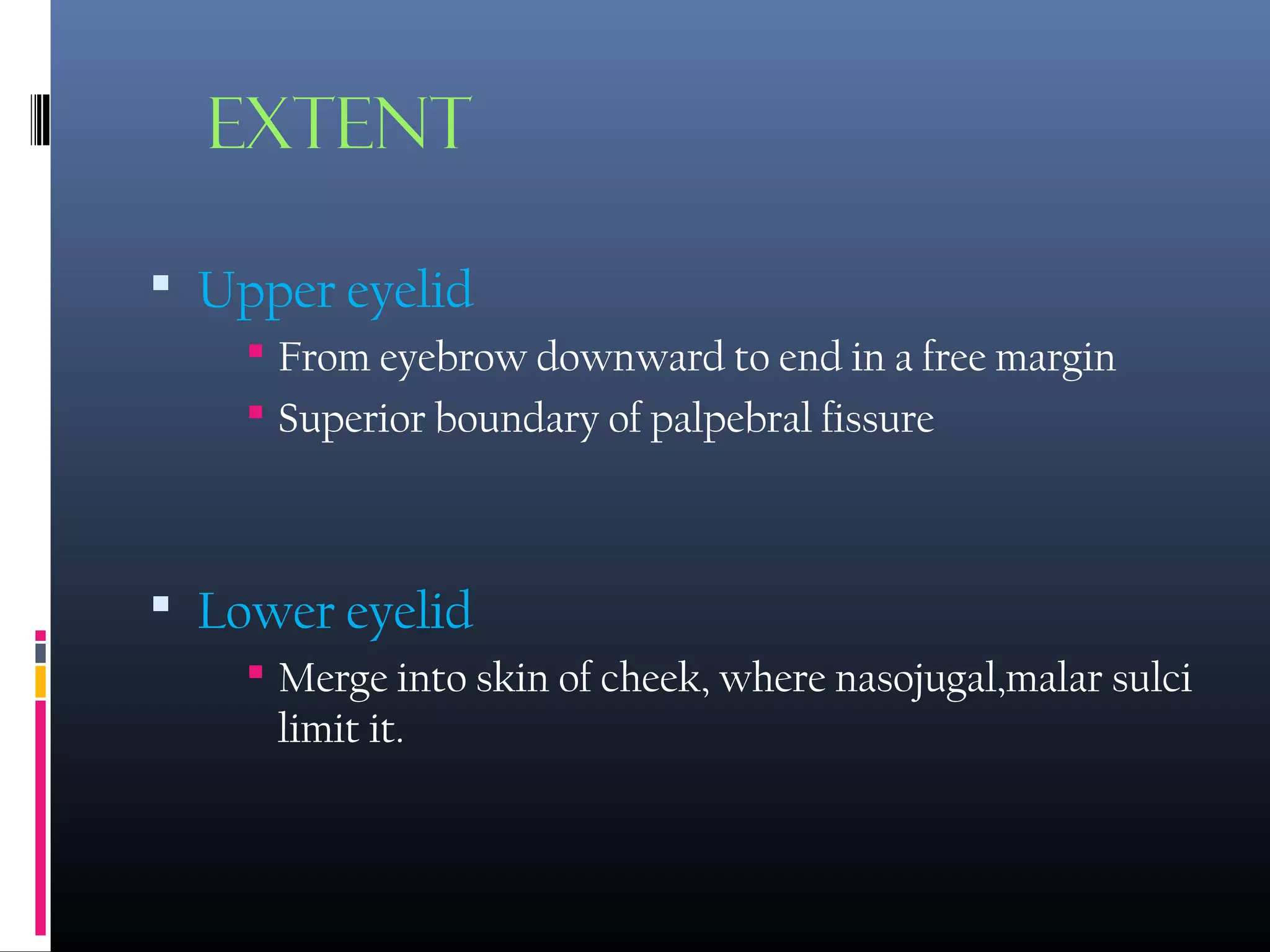 Anatomy of the eyelids | PPT