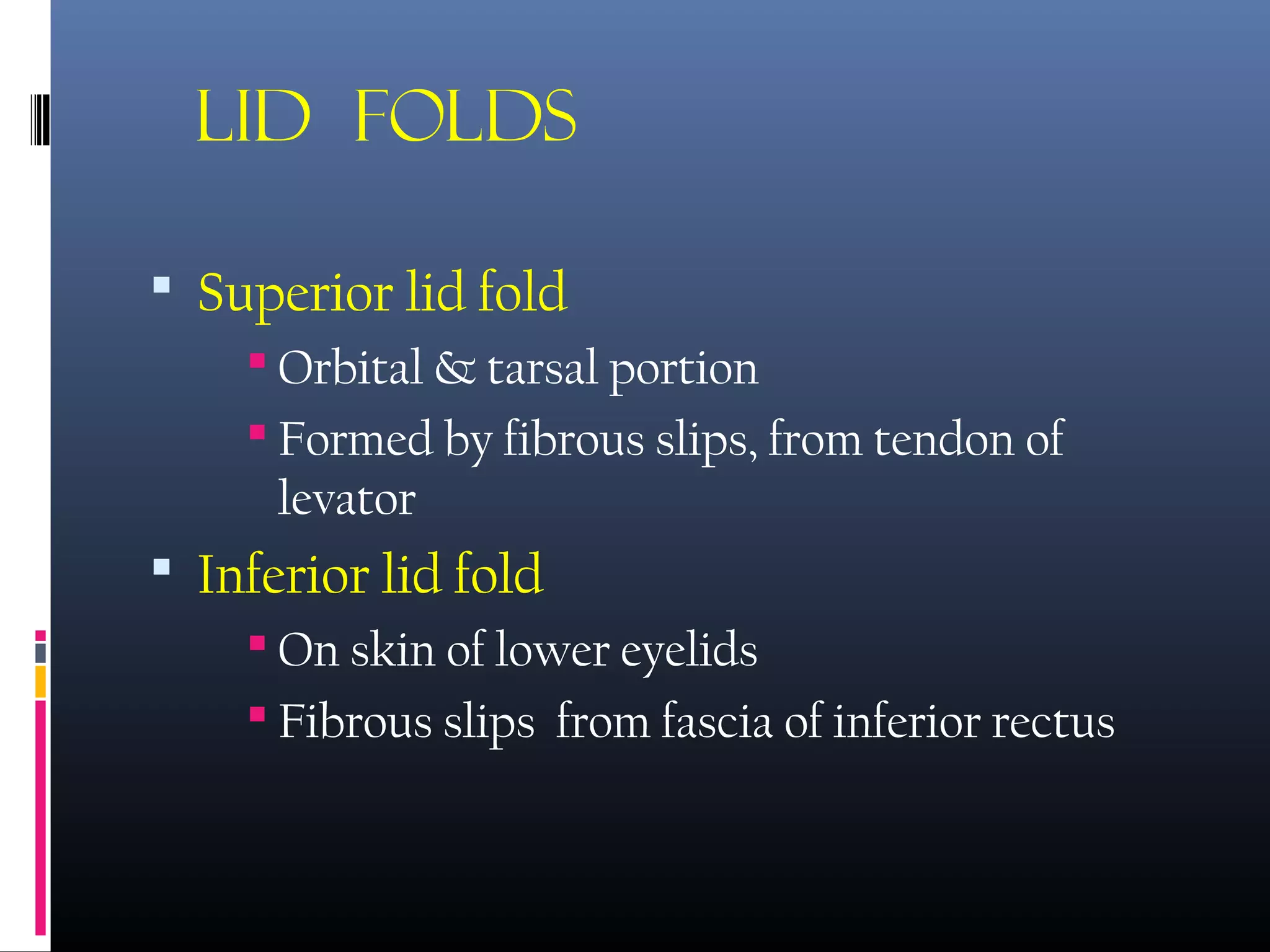 Anatomy of the eyelids | PPT