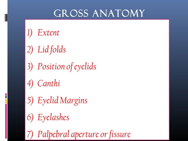 Anatomy of the eyelids | PPT