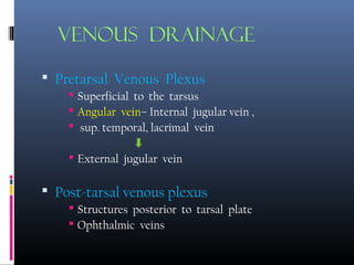 Anatomy of the eyelids | PPT
