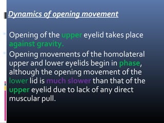 Anatomy of the eyelids | PPT