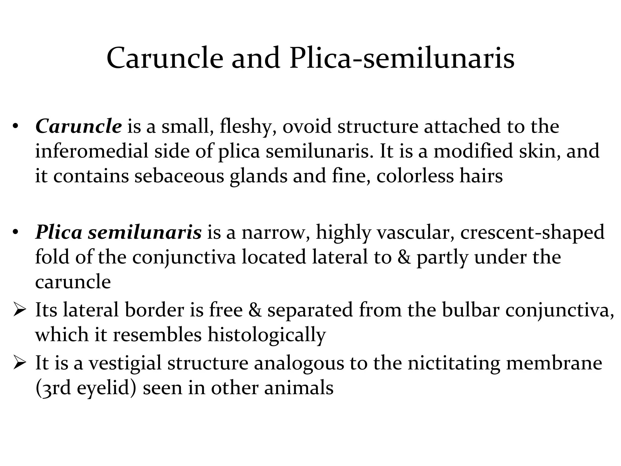 Anatomy of the eyelids | PPTX