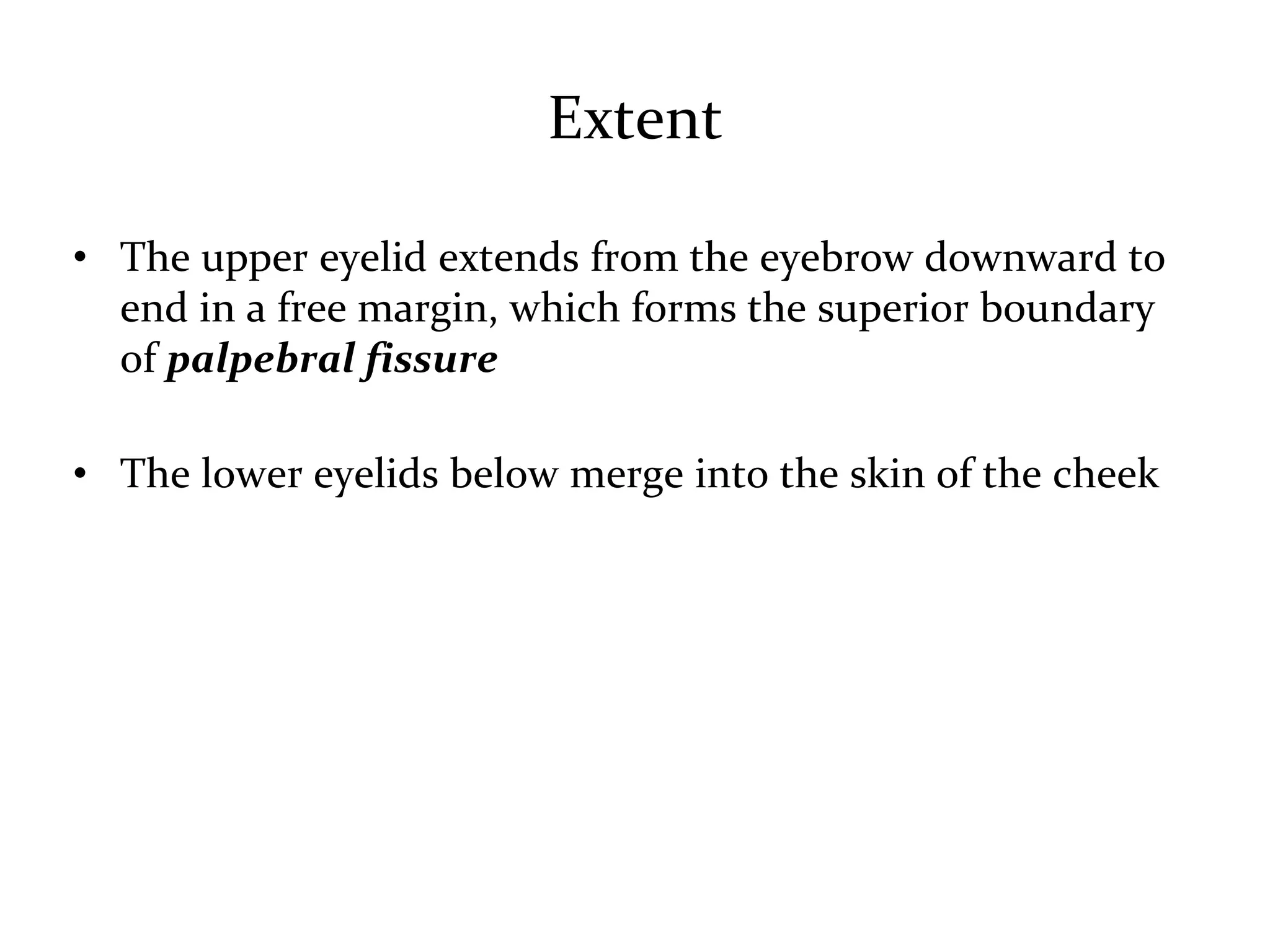 Anatomy of the eyelids | PPTX