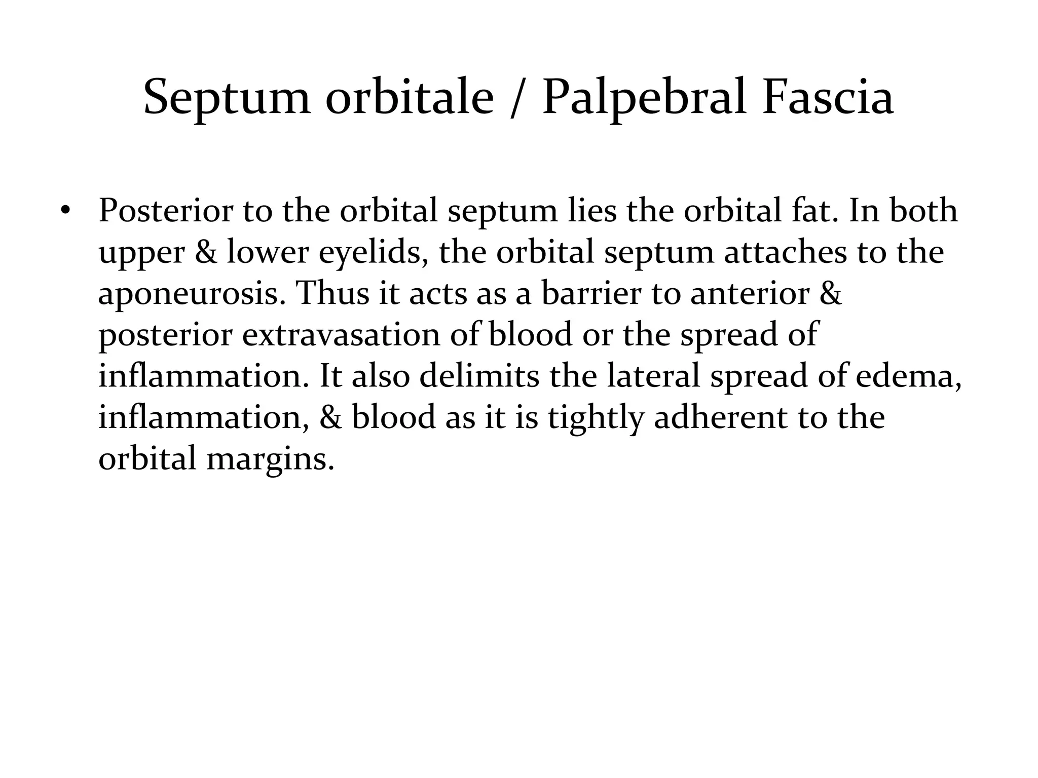 Anatomy of the eyelids | PPTX