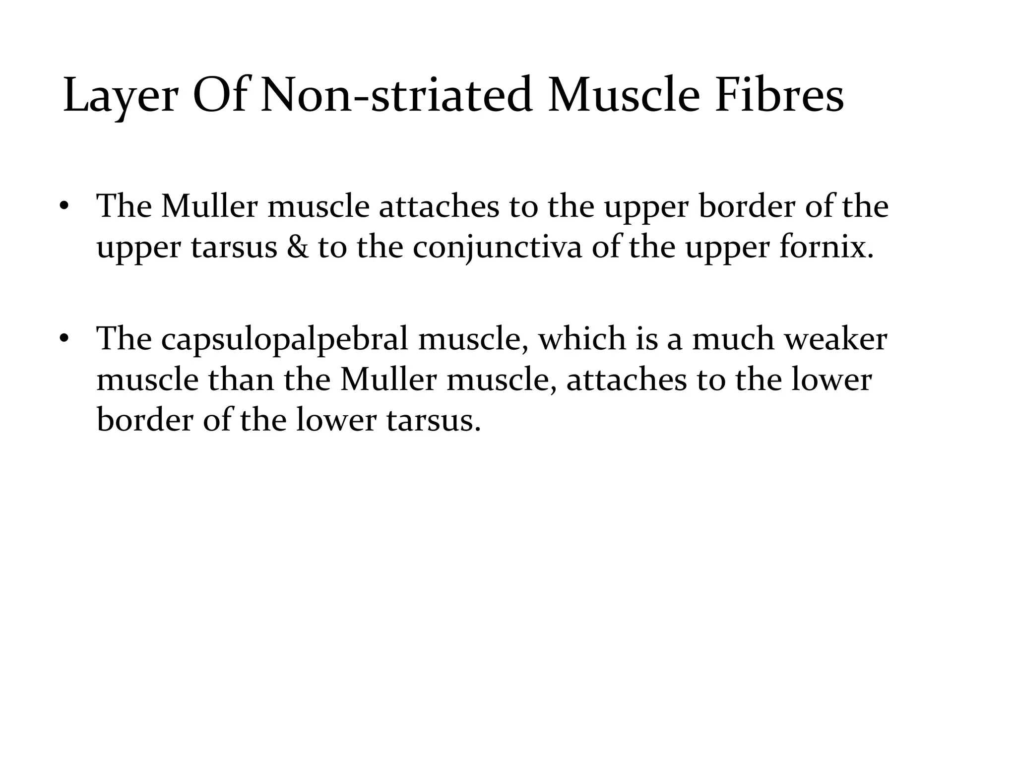Anatomy of the eyelids | PPTX