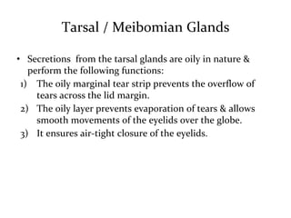 Anatomy of the eyelids | PPTX