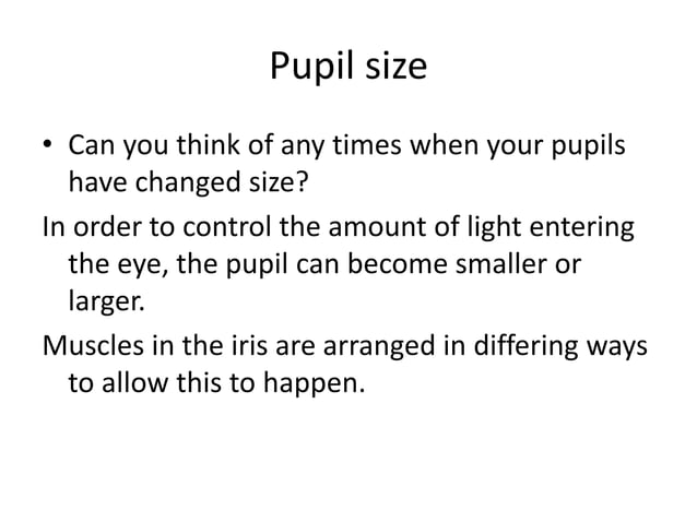Anatomy of the eye presentation 2.ppt