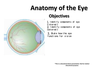 Anatomy of the eye test | PPT