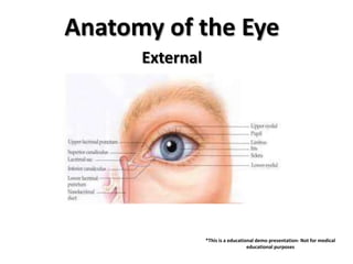 Anatomy of the eye test | PPTX