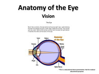 Anatomy of the eye test | PPTX