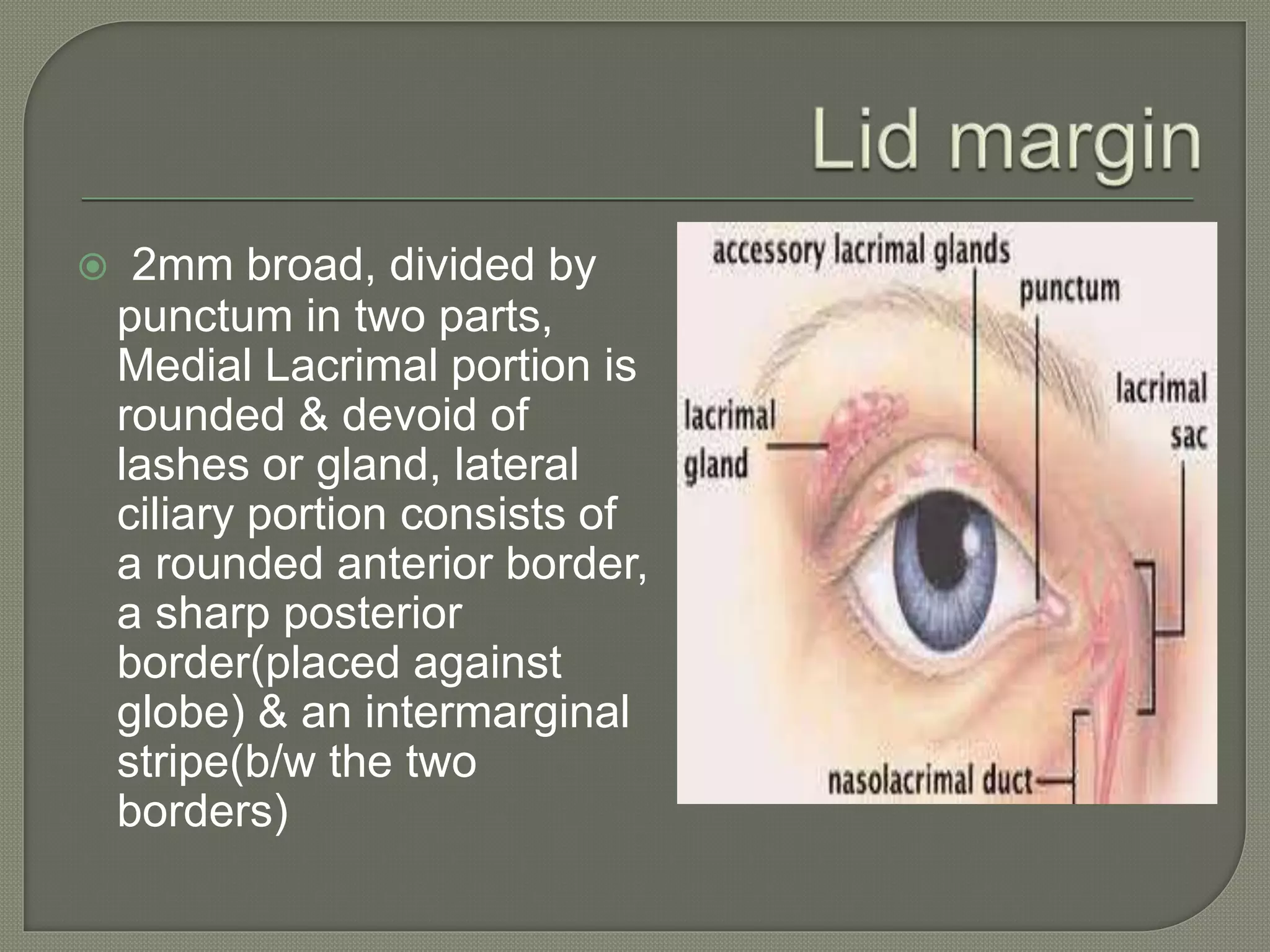 Anatomy of the Eye (whole).pptx