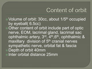 Anatomy of the Eye (whole).pptx