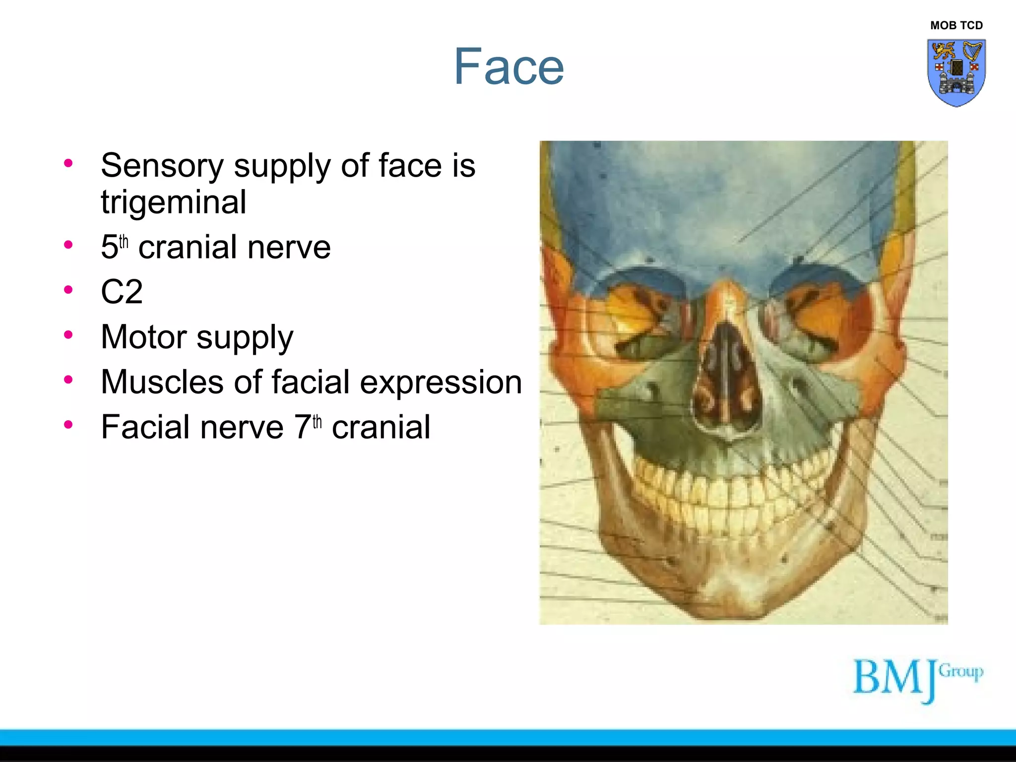 Anatomy of the face | PPT